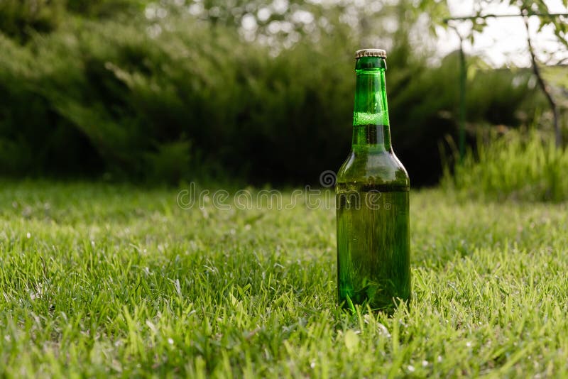 Bottle Glass Beer Outside Grass Stock Photos - Free & Royalty-Free ...