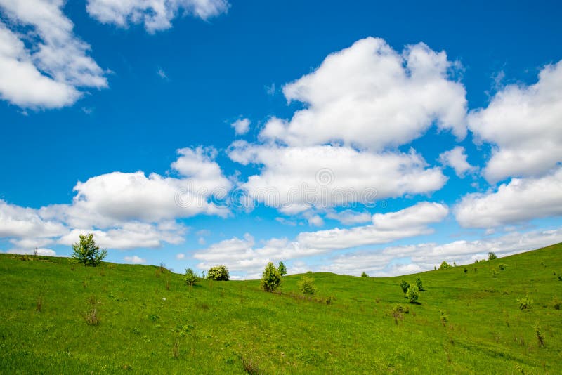 Landscape with Glassland stock image. Image of meadow - 16783469