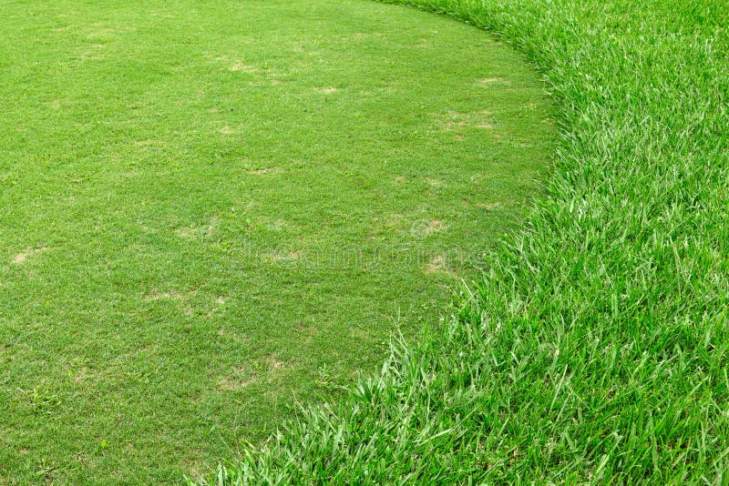 Golf course from dry land stock photo. Image of green - 20388406