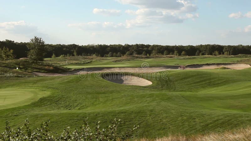 Forest and golf course stock footage. Video of grass - 123513274