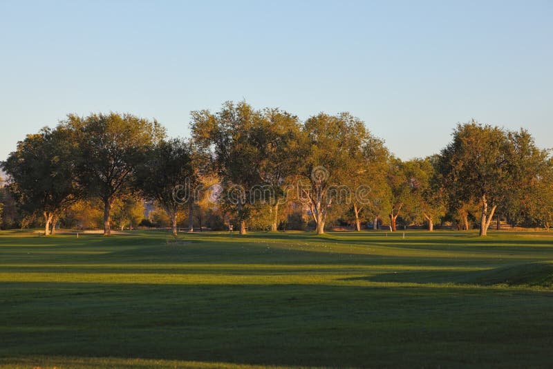 A Green Golf Course and Trees Stock Image - Image of leisure, sunlight ...