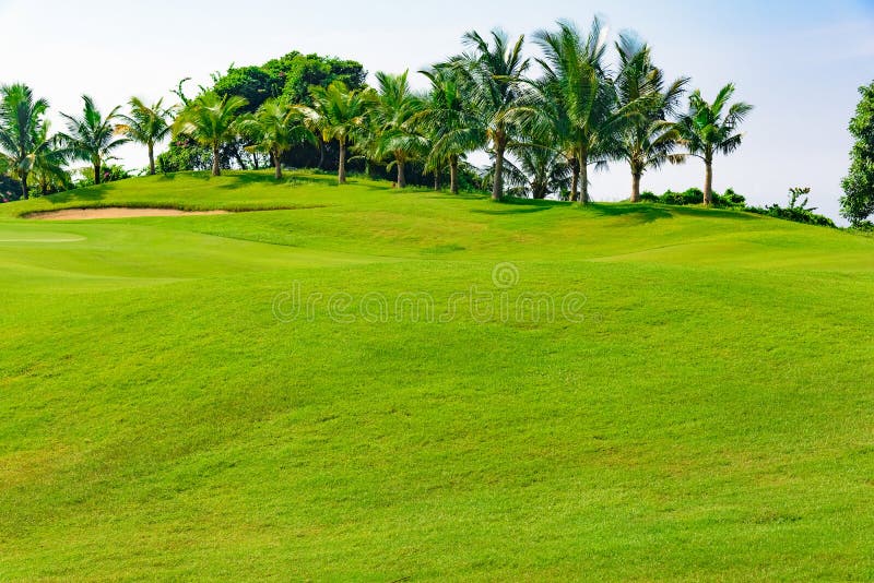 Green golf course stock photo. Image of nature, meadow - 131067986