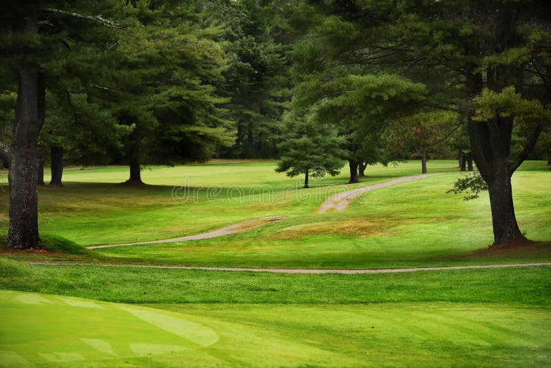 Green Golf Courses and Trees. Stock Image - Image of luxury, sport ...