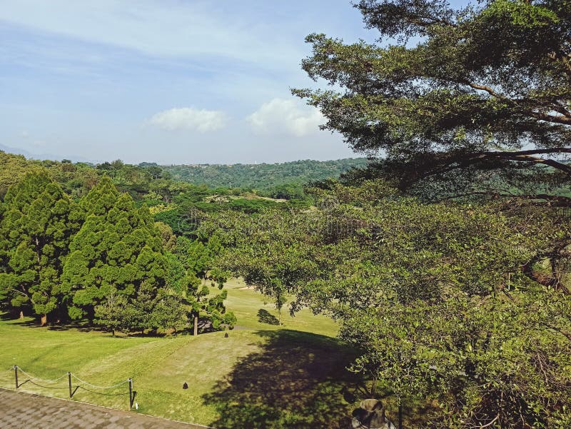 Green Golf Field from High Angel View Stock Photo - Image of high, view ...