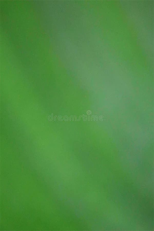 Green Gradient Blurred Leaf for Background. Space for Text. Stock ...