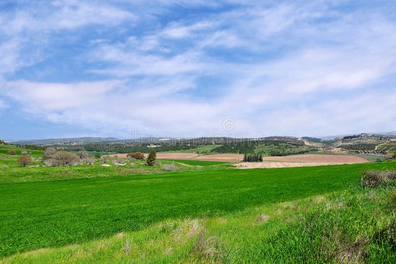Green Fields and Hills in the Winter of Israel Stock Photo - Image of ...
