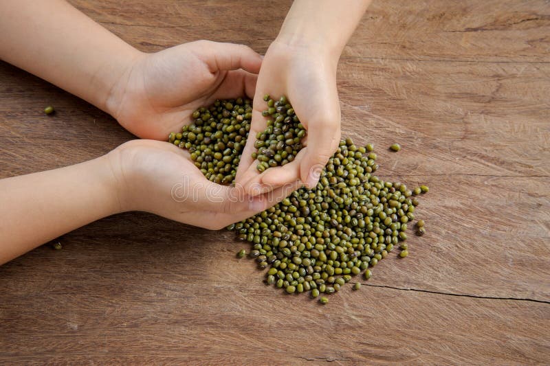 373 Bean Child Hand Stock Photos - Free & Royalty-Free Stock Photos ...