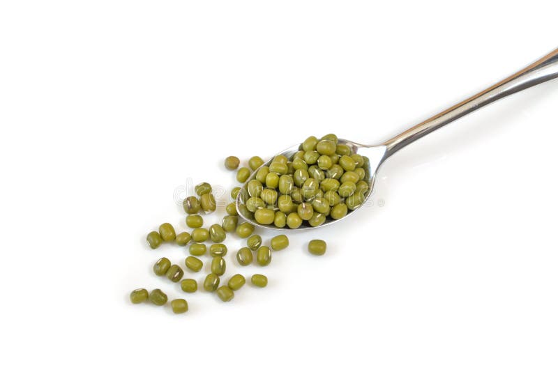 Green gram stock image. Image of gram, green, leguminosae - 19227293