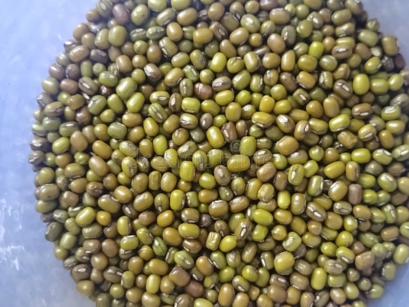 Green gram seed stock image. Image of seed, legume, family - 282010577