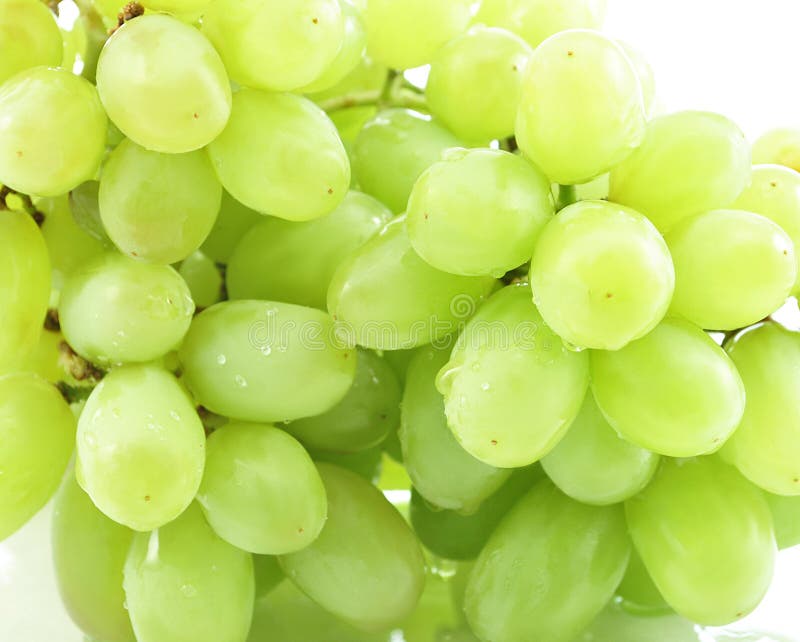 Green grape stock photo. Image of bunch, winery, summertime - 15024790