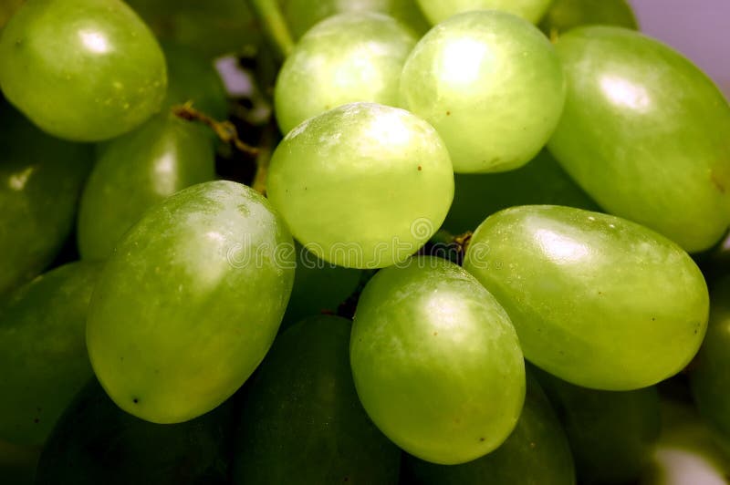 Green Grape Picture. Image: 1903999