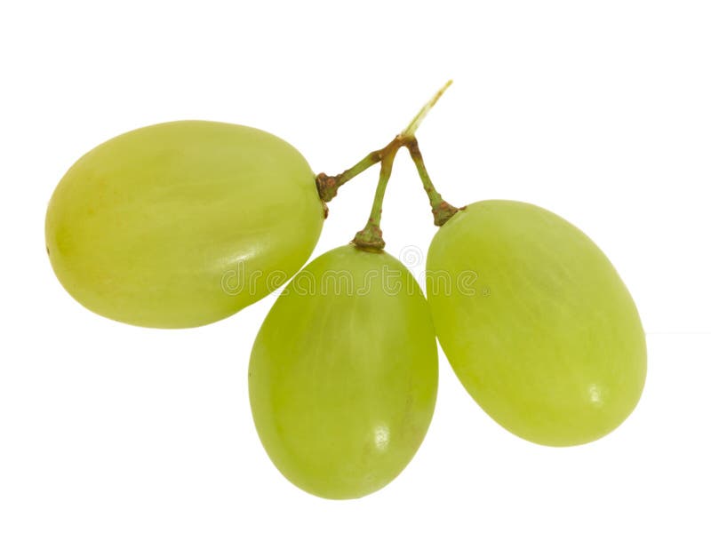 Green grape stock image. Image of grape, foodstuff, white - 21264837