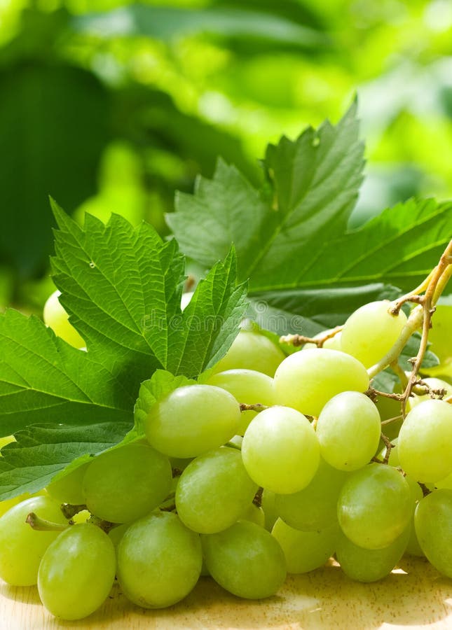 Green grape stock photo. Image of sweet, healthy, green - 25816216