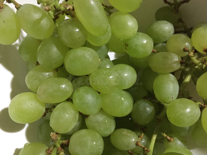 Green grape stock image. Image of fruit, green, fresh - 52724583