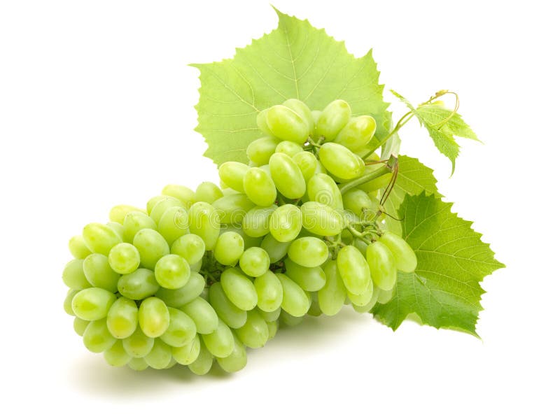 Green grape stock photo. Image of ingredient, autumn - 115849212