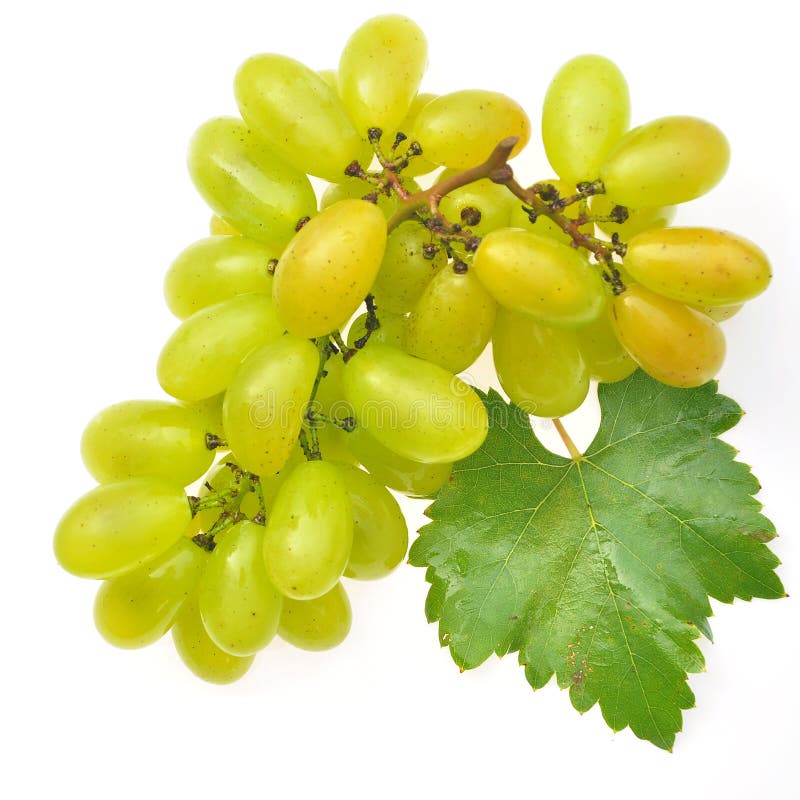 Green grape stock image. Image of juicy, ingredient, closeup - 33493811
