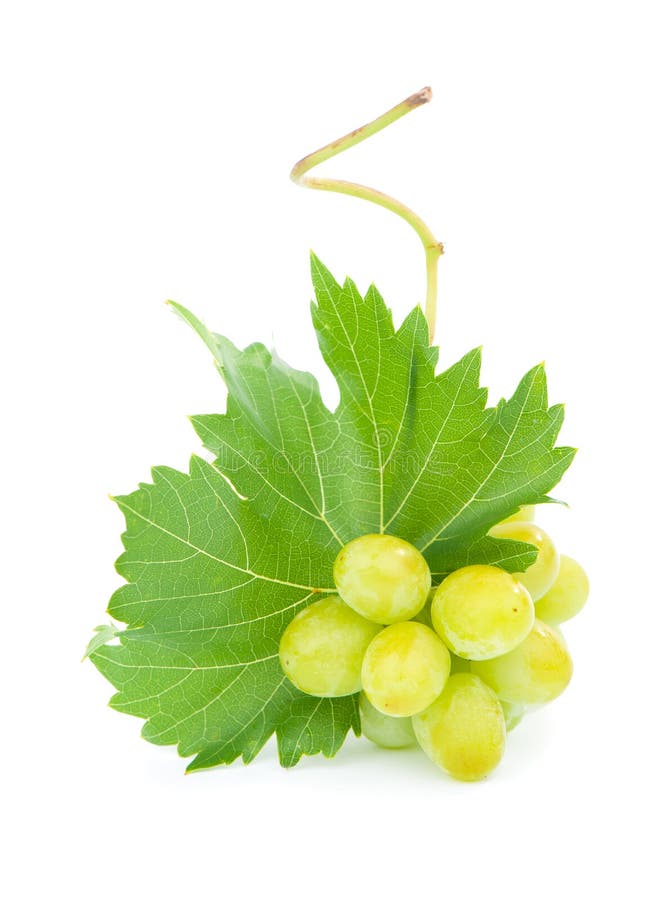 Green Grape with Leaves on White. with Clipping Path. Full Depth of ...