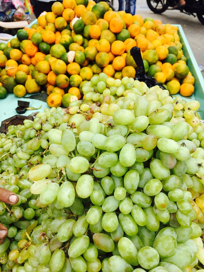 Green grape with Orange stock image. Image of agriculture - 88237547