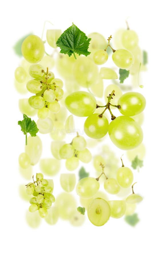 Green Grape Slice and Leaf Abstract Stock Image - Image of grapes ...