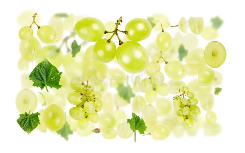 Green Grape Slice and Leaf Abstract Stock Image - Image of collection ...