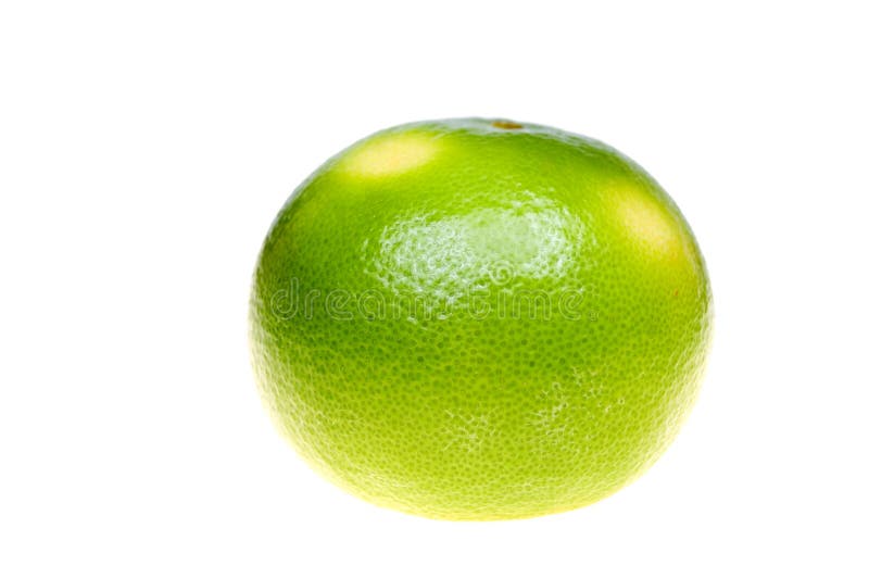 Green grapefruit stock photo. Image of cold, tropical - 3406154