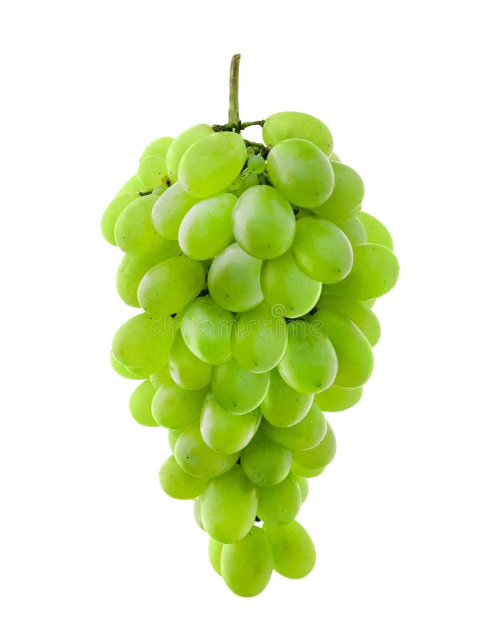 Green grapes stock image. Image of delicious, summer, diet - 2612055