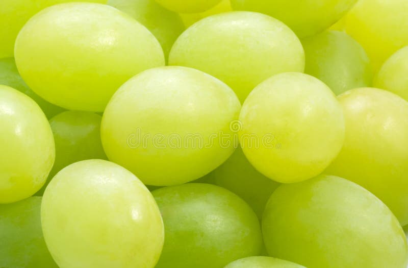 Green grapes stock image. Image of color, fruit, snack - 7109971