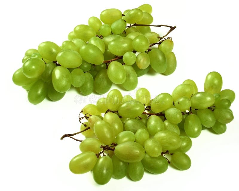 Green grapes stock photo. Image of healthy, bunch, leaf - 7651610