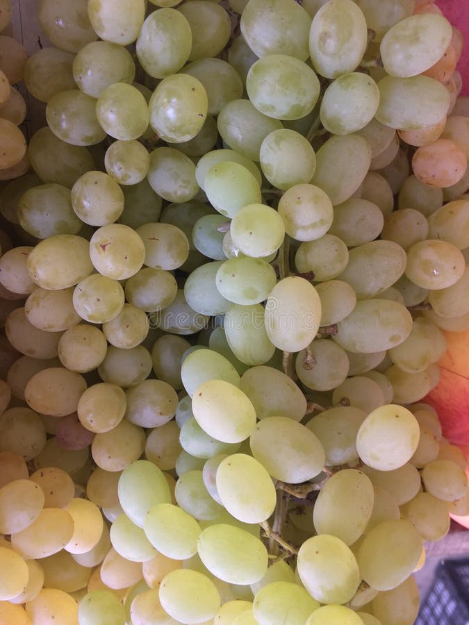 Green Grapes background stock image. Image of background - 199921269
