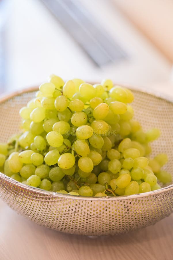 Green grapes stock photo. Image of vegetable, agriculture - 36966480