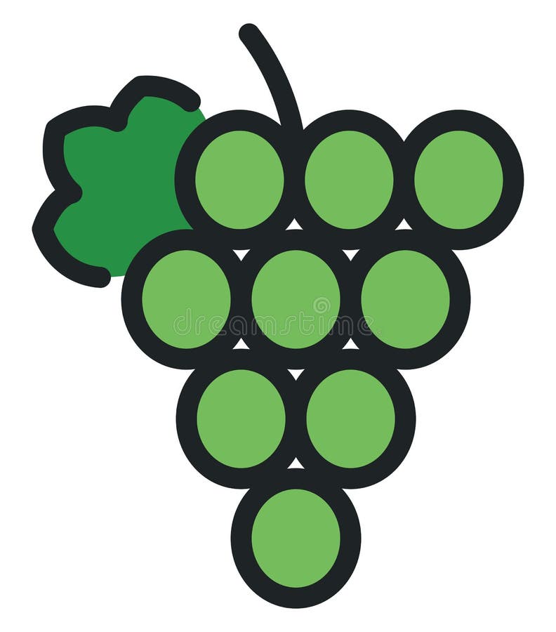 Green grapes, icon stock vector. Illustration of vineyard - 260379045