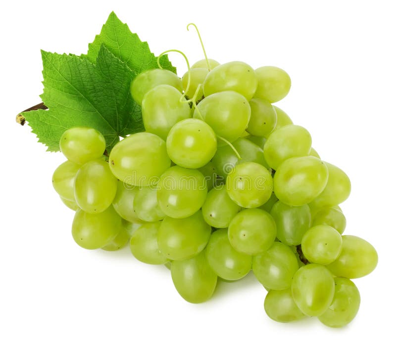 Small Green Grapes Bunch and Leaf Isolated on White Stock Image - Image ...