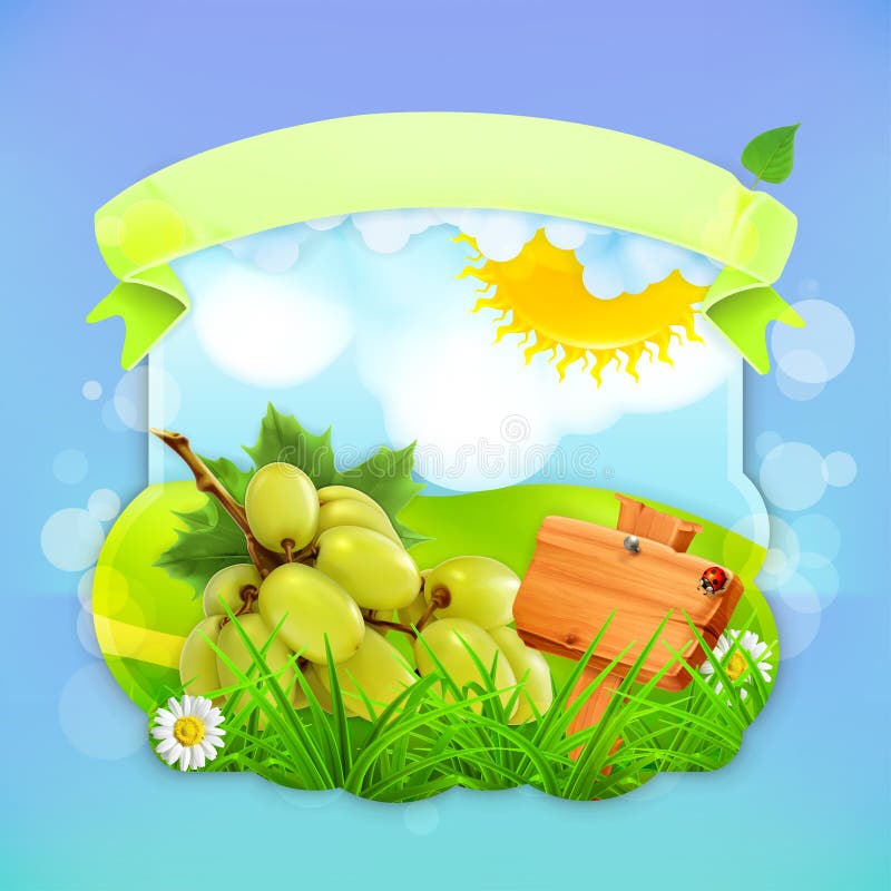 Green grapes, label design stock vector. Illustration of design - 59138612