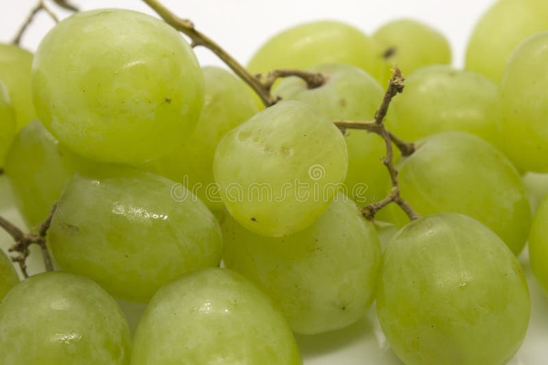 Green Grapes stock photo. Image of food, background - 160268670