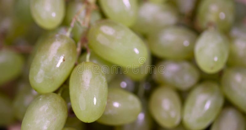 A Large Number of Ripe Green Grapes are on the Table Stock Video ...