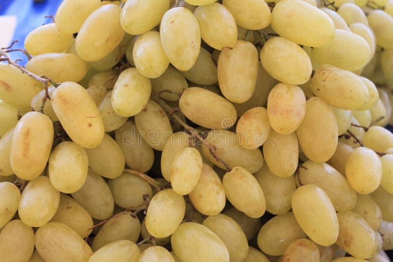 Green Grapes Turkish Sultan Stock Image - Image of wine, berries: 60293893