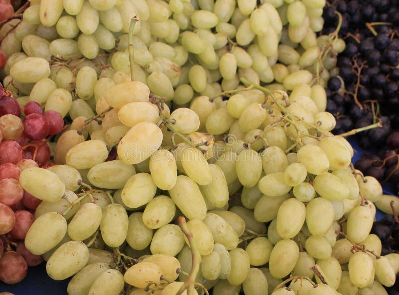 Green Grapes Turkish Sultan Stock Photo - Image of turkish, seedless ...