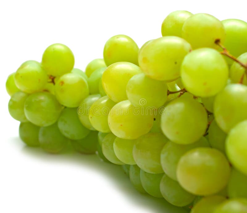 Green grapes on white stock image. Image of green, garden - 13279351