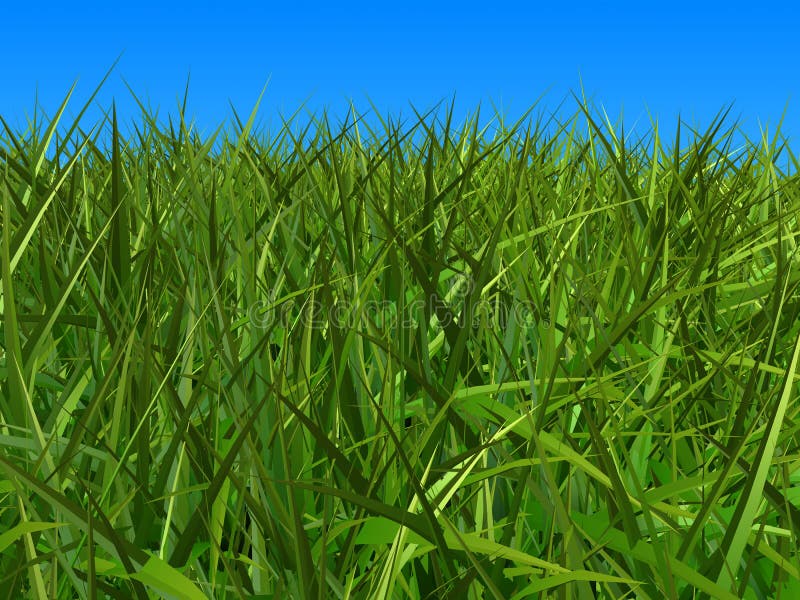 Fresh green gras stock image. Image of farm, waterdrops - 4540969
