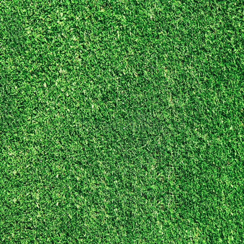 Green gras texture stock image. Image of land, backdrop - 91613409