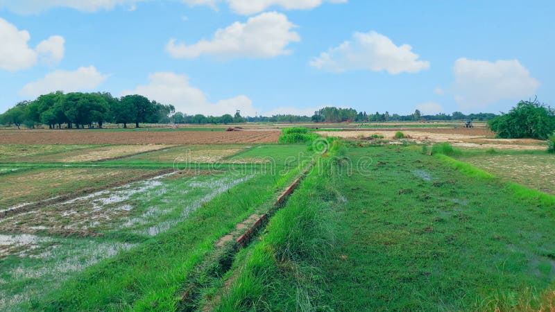 Green stock image. Image of grash, village, green, fild - 120417537
