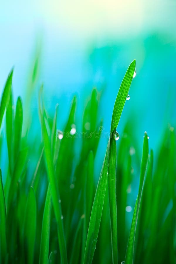 Splash of milk stock image. Image of fluid, healthy, light - 14762369