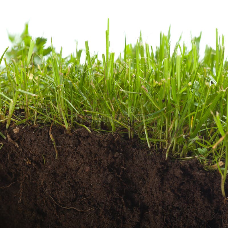 Grass and soil stock image. Image of nature, lawn, cross - 29024711