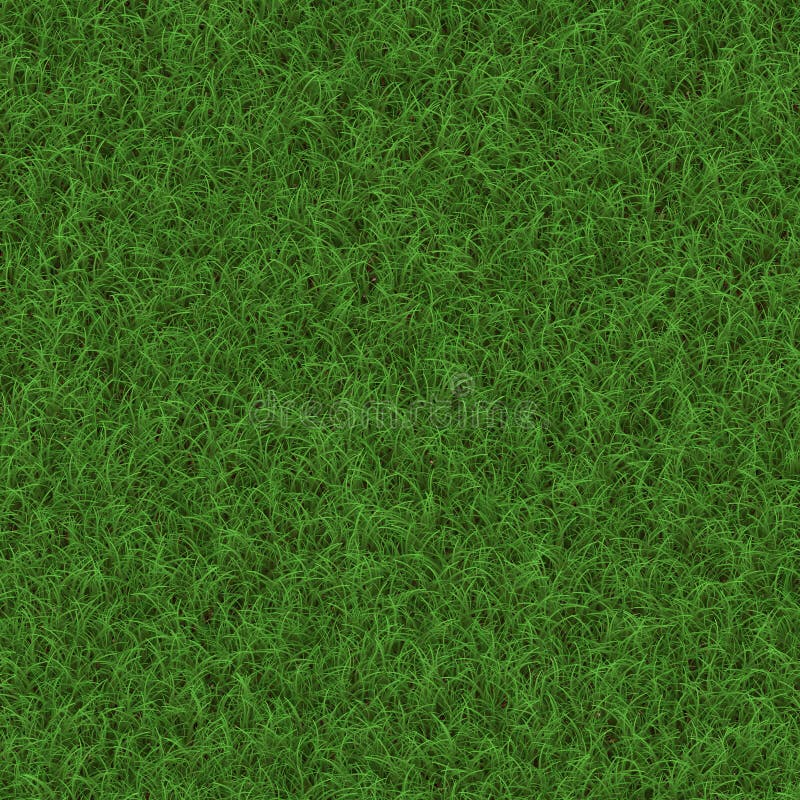 Grass Seamless Pattern stock illustration. Illustration of grass - 11893859