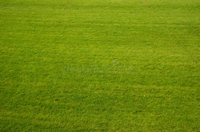 Track & Field stock photo. Image of track, field, grass - 19480