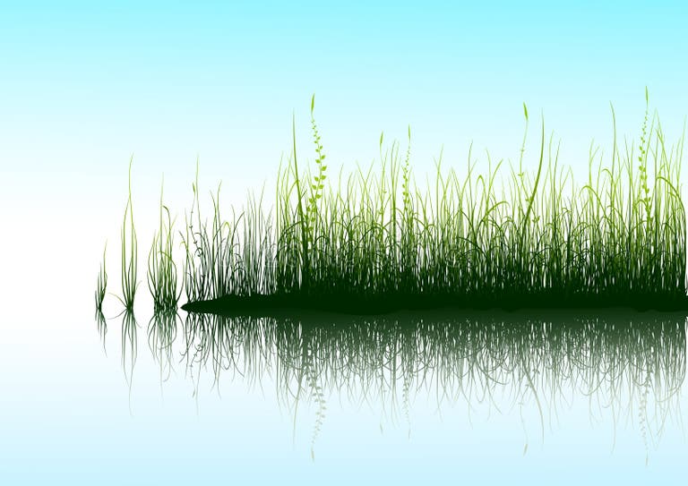 Lush Green Grass Backgrounds Stock Illustrations – 6,447 Lush Green Grass Backgrounds Stock ...