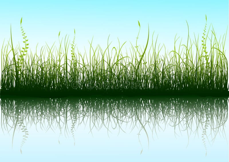 Water Green Grass Stock Illustrations – 163,063 Water Green Grass Stock ...