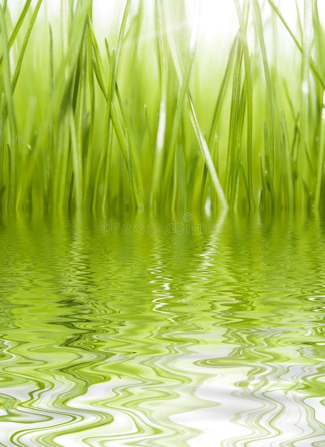 Reflection of Green Nature in Clean Water Waves. Stock Photo - Image of ...