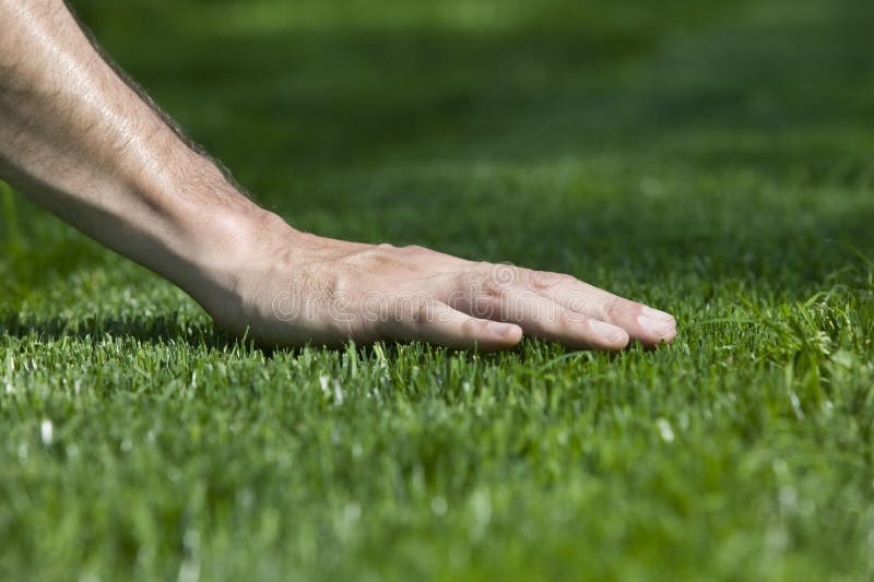 4,842 Hand Touching Grass Stock Photos - Free & Royalty-Free Stock ...