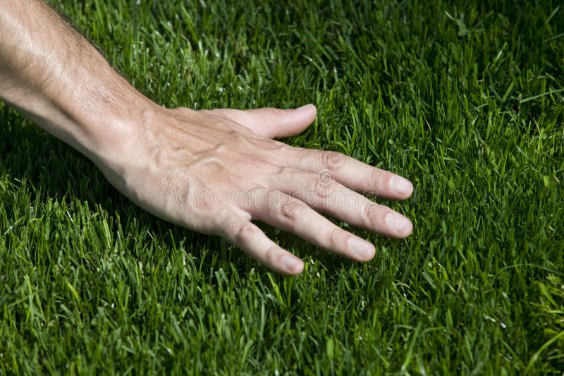 4,819 Hand Touching Grass Stock Photos - Free & Royalty-Free Stock ...